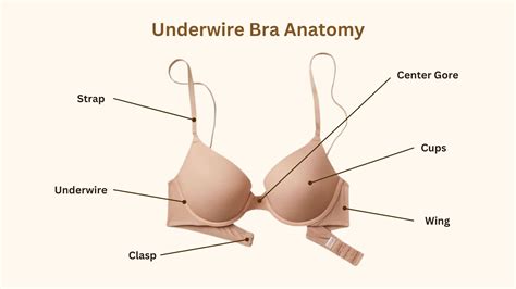 What Is An Underwire A Bra Fitting Expert Explains It All