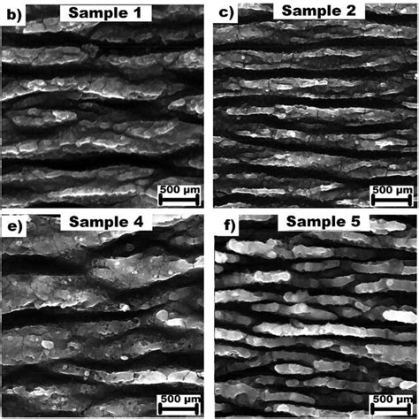 Overview Of Fabricated Nanostructures A Reference Sample Coated By