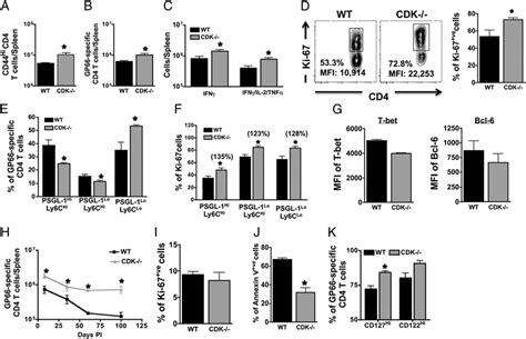 A Role For The Cdk Binding Domain Of P27 Kip1 In Regulating Cd4 T Cell