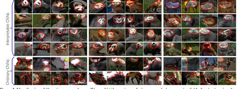 Figure 2 From Interpretable Convolutional Neural Networks Semantic Scholar
