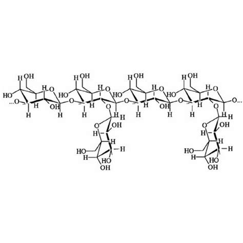 Powder Pediococcus Torulopsis Probiotics At Best Price In Bhiwandi Id