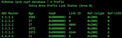OSPFv HOW TO READ IPv S OSPF DATABASE NETWORK FUN TIMES