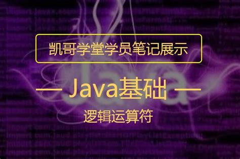 Java基础逻辑运算符