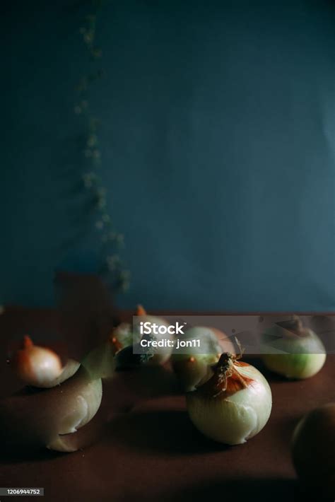 Mewarnai Telur Untuk Liburan Paskah Mewarnai Dengan Warna Dan Tonalitas