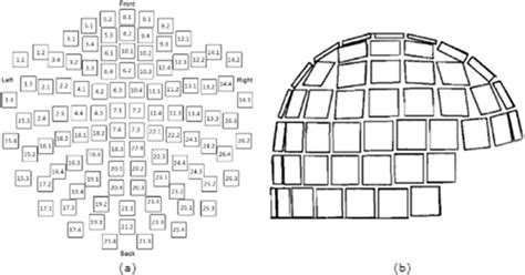 A Sensor Space Of Meg As Defined By Vendor Elekta B Sensor Download Scientific Diagram