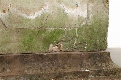 Proantic Roman Bust In Cement 20th