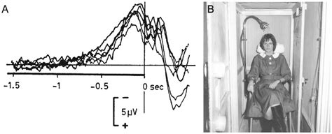 a reverse computation rückwärtsanalyse of electroencephalographic