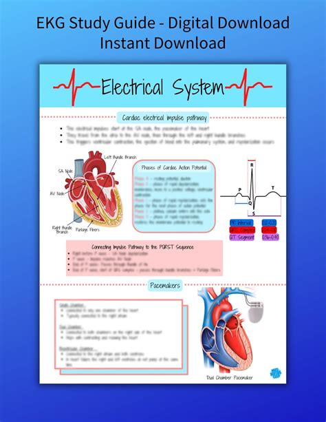 Ekg Study Guide Etsy