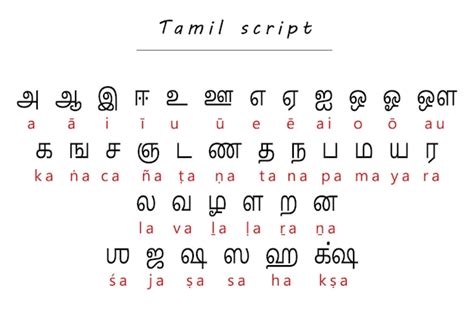 Judicious Tamil Alphabet Chart Tamil And Sinhala Alphabet Chart Hindi