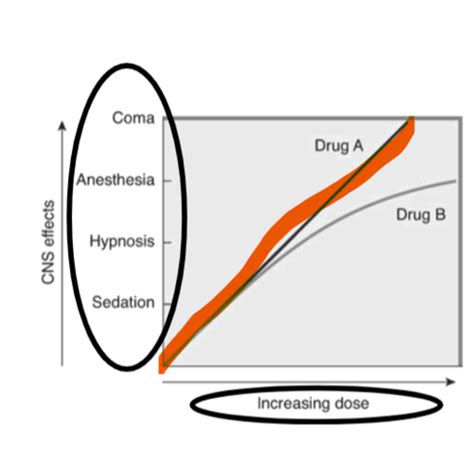 Module 53 Sedatives And Hypnotics Flashcards Quizlet