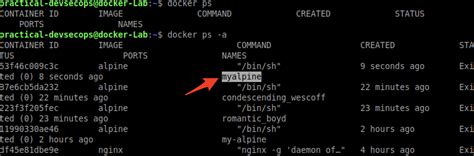 Lesson 3 Container Reconnaissance Techniques For Beginners Practical Devsecops