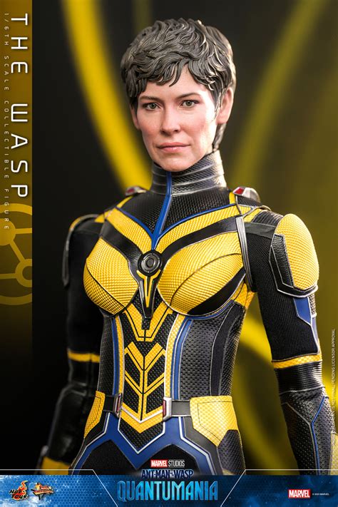 hot toys 1 6 the wasp action figure