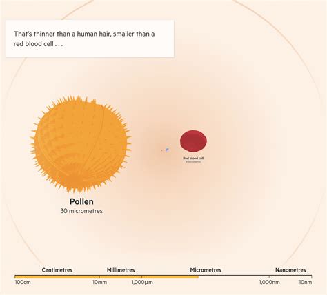 Tiny Chip Manufacturing Visually Explained FlowingData