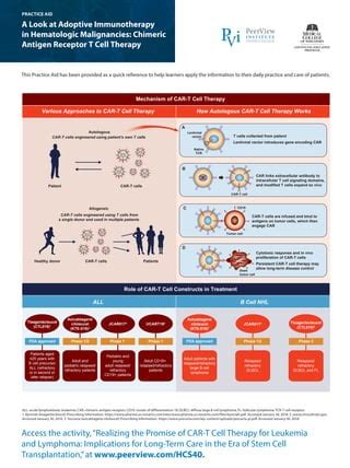 Realizing The Promise Of Car T Cell Therapy For Leukemia And Lymphoma