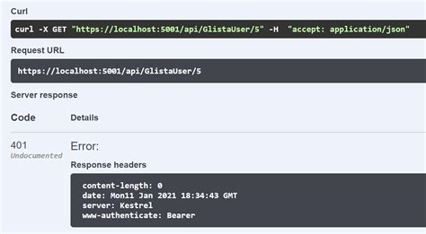 C Even The First Line Of Net Core Controller Is Not Executed Stack Overflow