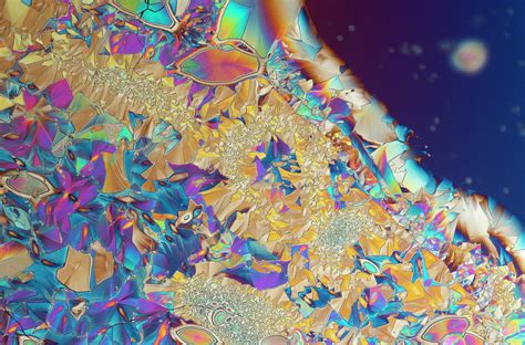 Dopamine Polarized Light Microscopy Photograph By Karl Gaff Pixels