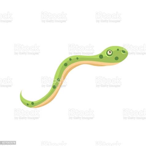 Python Funny Illustration Stock Illustration Download Image Now