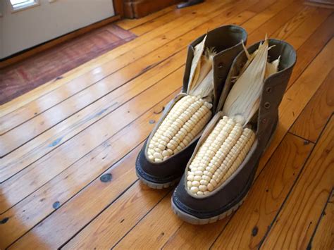 21 Ways To Use Corn Husks Beyond The Compost Pile