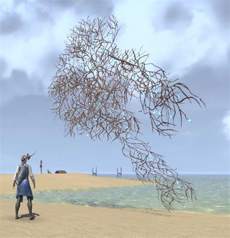 Eso Fashion Vine Moonlit Cave Elder Scrolls Online