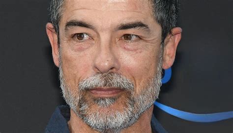 Ascolti Tv Del 21 Agosto Alessandro Gassmann Sfida Watson