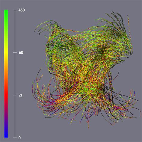comparison of uniform and multi scale color coding of torsion values on
