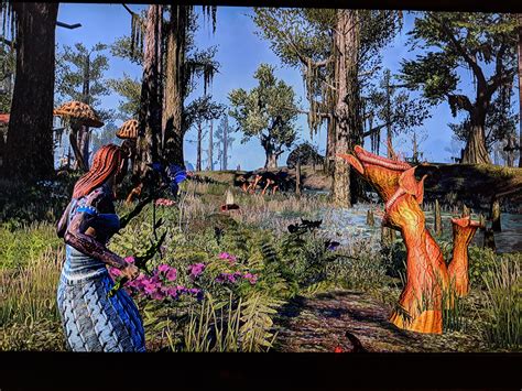 Finally Immersing Myself Into Vvardenfell And The Rest Of Morrowind