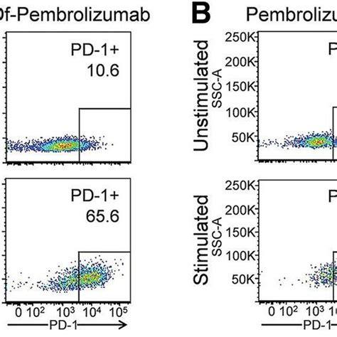 Cell Binding Assay Of Pembrolizumab To Cd4 And Cd8 T Cells Cd4 And Download Scientific