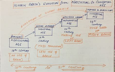 Human Brain Evolution Over Time Pile On Motivation