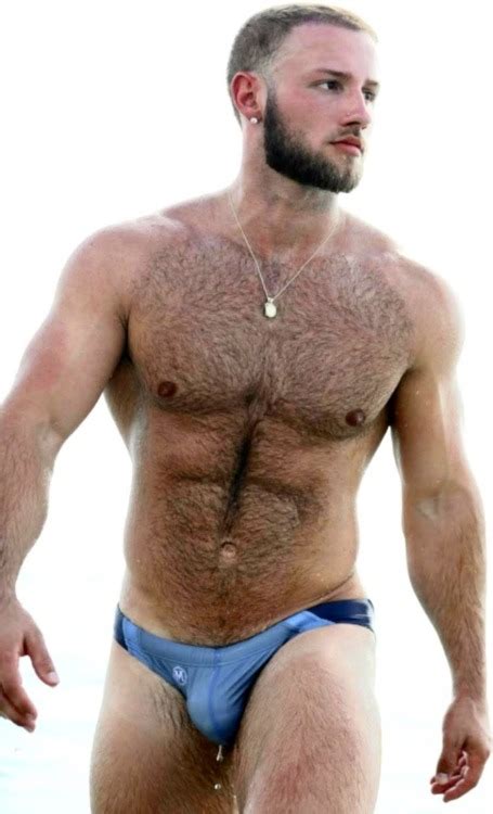 Post 785971981988380672 Only Hairy Men Are Real Tumbex