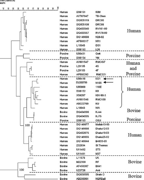 phylogenetic dendrogram constructed by maximum parsimony method based