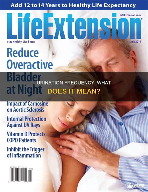 Urination Frequency What Does It Mean Medshun