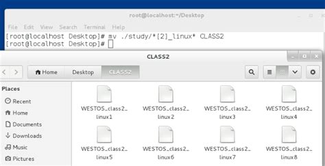 Linux命令行及文件练习题linux 文件操作相关题目 Csdn博客