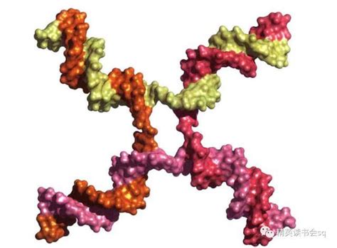 从原子到生命—《生命科学名著系列之结构生物学》读书心得 知乎