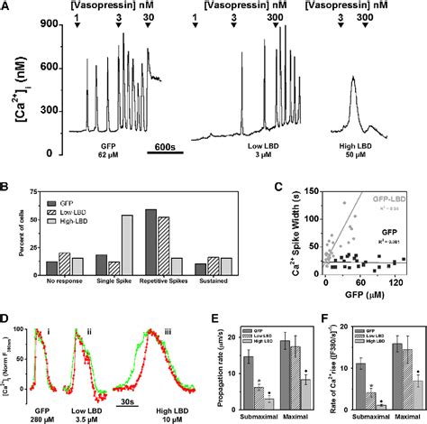 Figure 2 From Hormone Induced Calcium Oscillations Depend On Cross