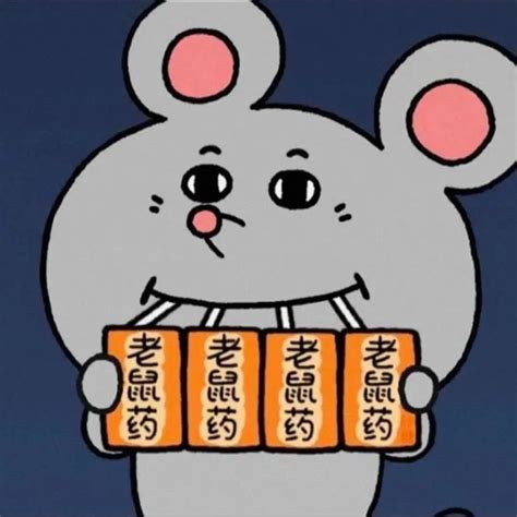 可爱小灰鼠手持 老鼠药”牌子，萌态十足的趣味表情包 小老鼠表情包：真实演我表情包图片动图 求表情网斗图从此不求人