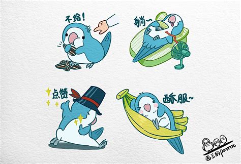 可爱小鸟表情包四枚西兰的parrot 站酷zcool