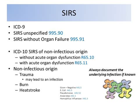 Compiled And Presented For Tahima Meeting On 16 April Ppt Download