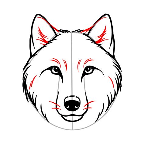 How To Draw A Wolf