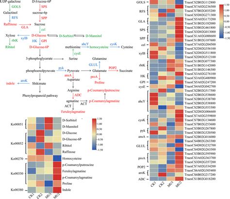 transcript and metabolic profiling of significantly differential