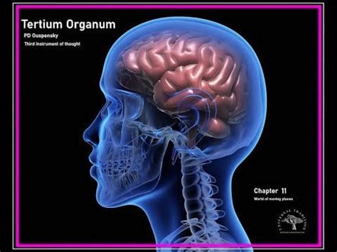 Tertium Organum (ch11) : r/HumanResponse