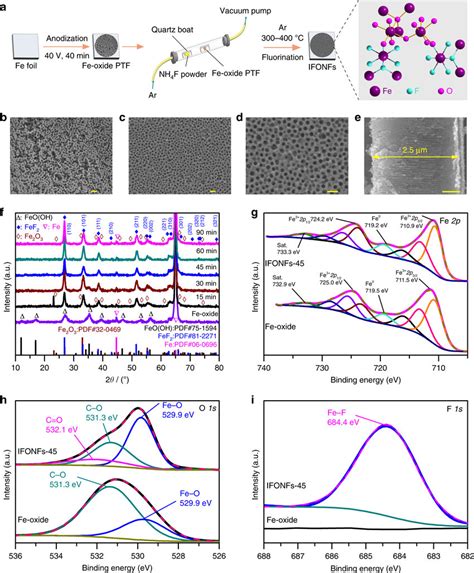 Ifonfs Fabricated From Commercial Fe Foil With Anodizationfluorination Download Scientific
