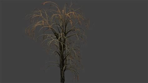 Rigged Of Tree 3d Models Blender Blend Download Free3d