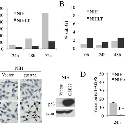 Mt Antigens And Associated Protein Kinase Activities Extracts Of Cos 1 Download Scientific