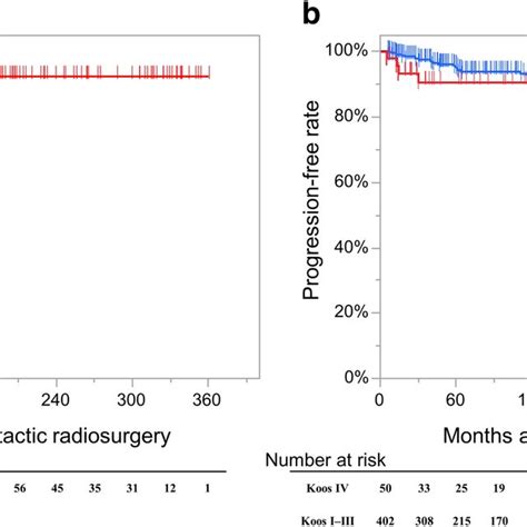 Illustrative Cases Of Stereotactic Radiosurgery Srs For Koos Grade Iv Download Scientific