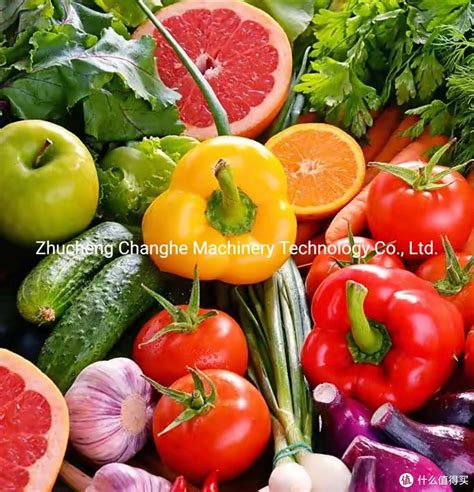 Fruit Processing Machine Industrial Fruit And Vegetable Juice