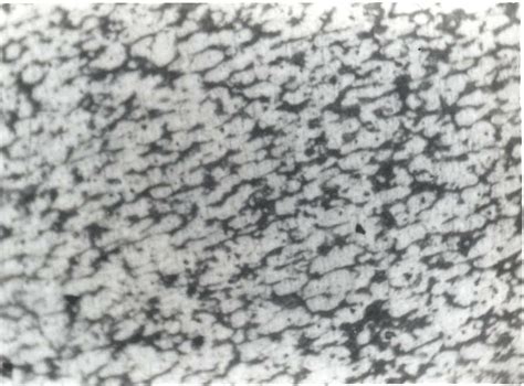 Optical Micrograph Of 75 Cold Rolled Alloy 2 Annealed At 300 O C For Download Scientific