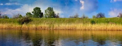 The Story Of Batyah Bithiah A Transformed Identity