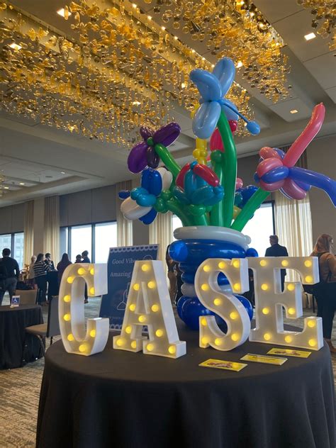 Casesmc Amber Mcleod