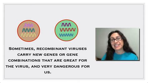 Emerging Viruses Zoonosis And Viral Sex Youtube