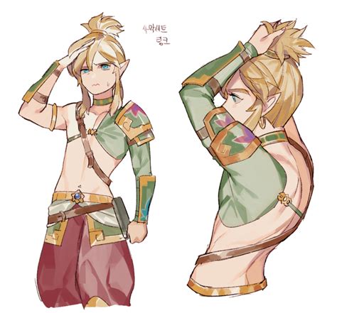 Twitter Legend Of Zelda Breath Legend Of Zelda Legend
